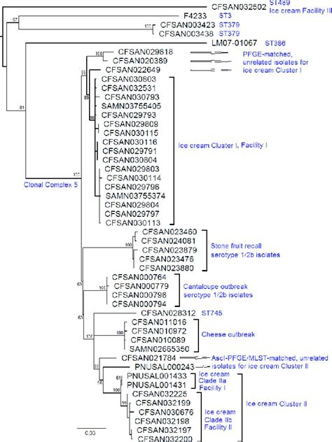 Phylogenetic Analysis Of Clonal Complex Cc 5 Strains From Several