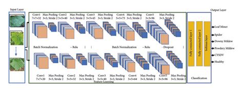 Proposed Two Combined Cnn Architecture 2 Cnn Download Scientific
