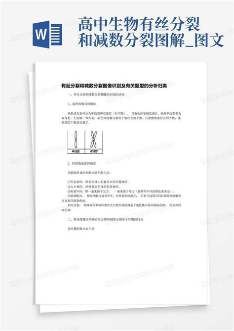 高中生物有丝分裂和减数分裂图解图文word模板下载编号qwdwwdvv熊猫办公