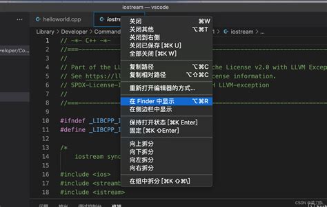 Vscode编译器添加c万能头文件vscode 编译代码可以直接调用头文件iostream 吗 Csdn博客