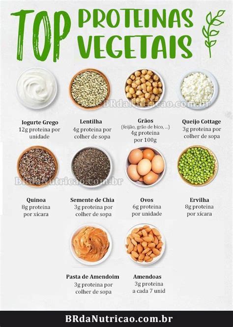 Best 12 10 Melhores Fontes De Proteina Vegetal Artofit