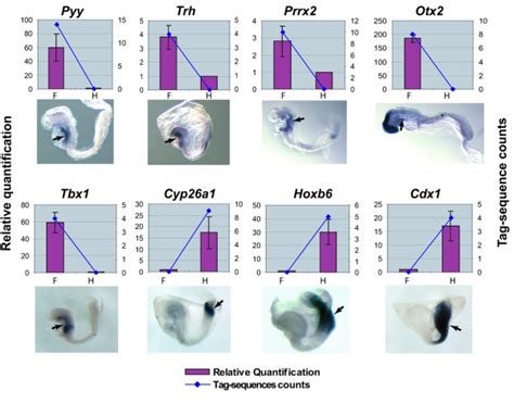 Correlation Of The Expression Validation Of 8 Genes From The First List Download Scientific