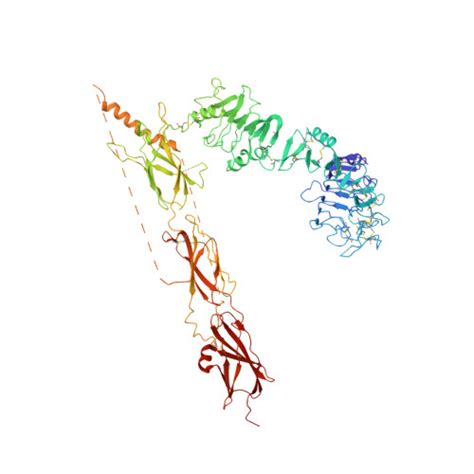 Rcsb Pdb 7mqs The Insulin Receptor Ectodomain In Complex With Three