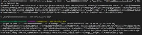 sap commissions jwt authentication sap community