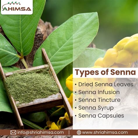 How To Use Senna Extract Safely A Complete Guide Naturalcaffeine On