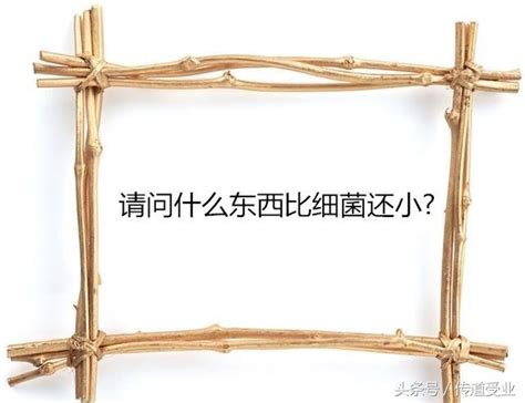 腦筋急轉彎什麼地方東西越貴人們越高興 每日頭條