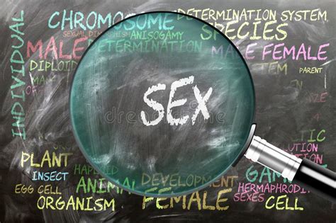 Sex Word Stock Illustrations 3290 Sex Word Stock Illustrations