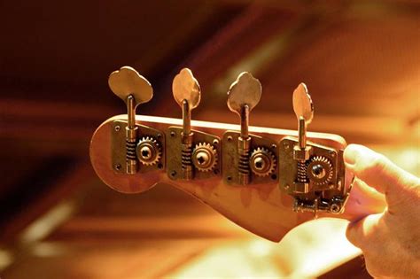 Anthony Vitti Fender 1969 Jazz Bass Fender Jazz Bass Fender Jazz Fender