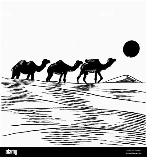 Hand Drawn Camels Walk Through The Desert Caravan Going Through The Sand Dunes Isolated Vector