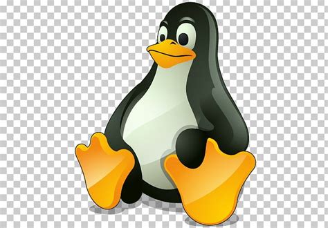 tux racer linux computer icons computer software png clipart beak