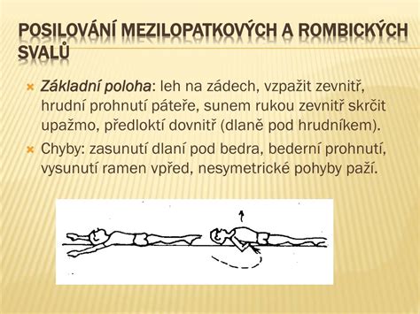PPT Posilovací cvičení zásady při posilování základní posilovací