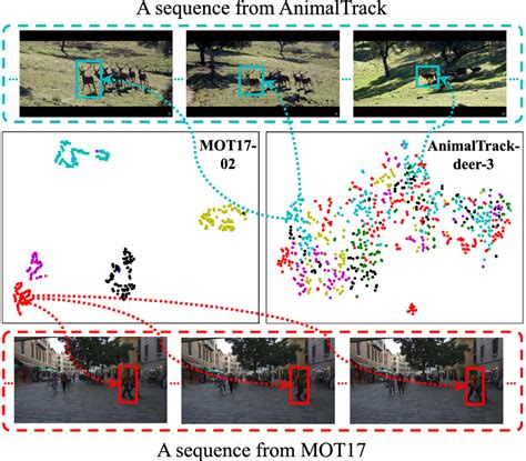 Visualization And Comparison Of Appearance Features For Download