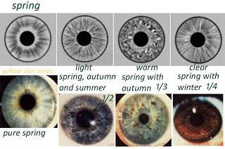 Type 1 Eyes Have Densely Woven Fibers With A Starburst Near The Pupil