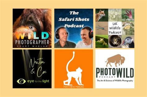 7 Best Astrophotography Software For Night Sky 2024 Nature Ttl