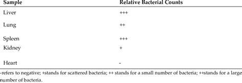 Bacterial Counts In Different Organs In The Donkeys Download