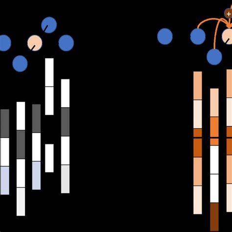 Graph Convolutional Neural Network Node Features Are Updated With