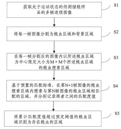 Grain Storage Pest Detection And Identification Method Based On Video Analytics And System