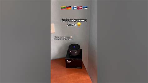 Как подключить и как настроить колонку Алиса😱 Инст Electronics Latvia алиса колонка яндекс