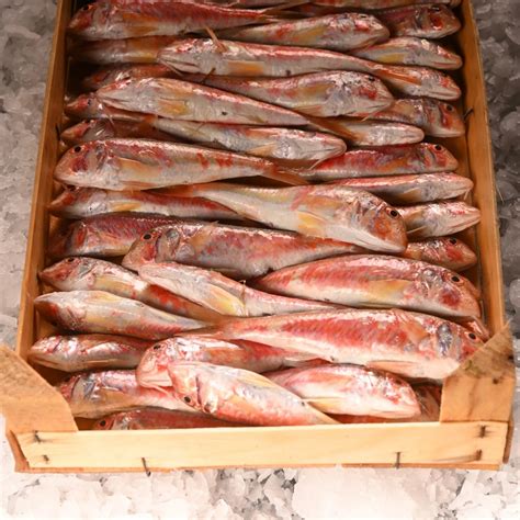 Karadeniz Barbun Tekir 4 Kg Kasa