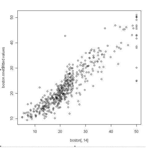R Nnet Plot Bug Stack Overflow