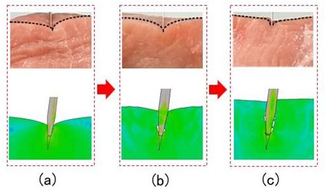 The Comparison Between The Experiment And The Simulation Download