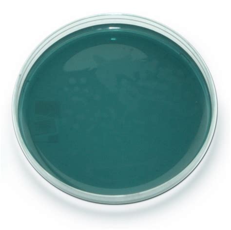 Hektoen Enteric Agar Medical Laboratories