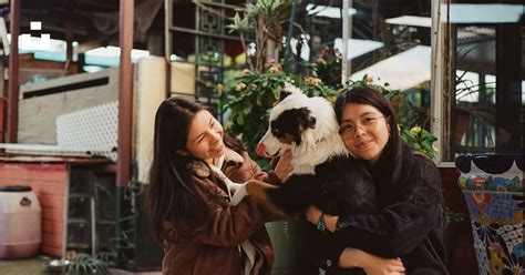Deux Femmes Assises Sur Un Banc Caressant Un Chien Photo Image