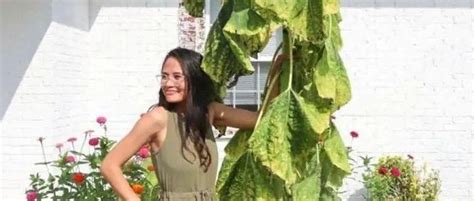 13张 大”和 小”的极端对比照！看完觉得自己太渺小扇叶