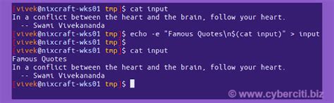 Bash Prepend A Text Lines To A File Nixcraft