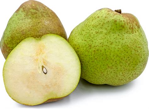 Florana Pears Information and Facts