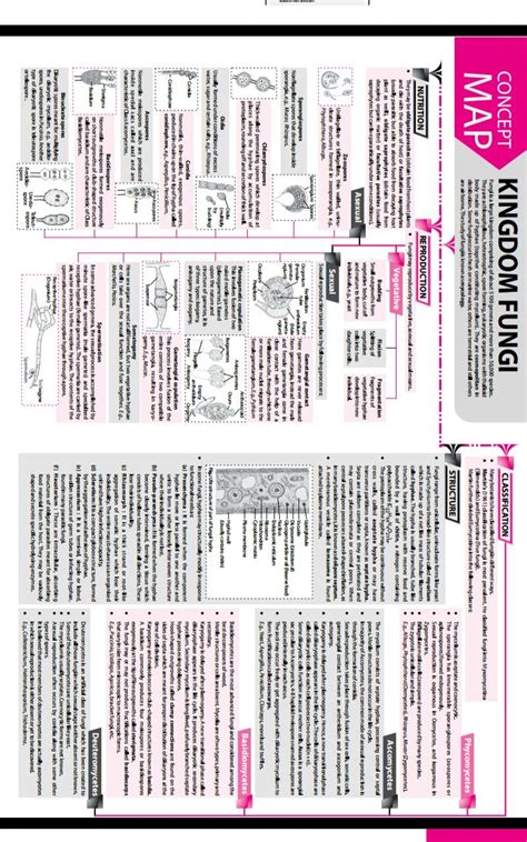 What Is The Difference Between Fimbriae And Pili Pediaa Com Artofit