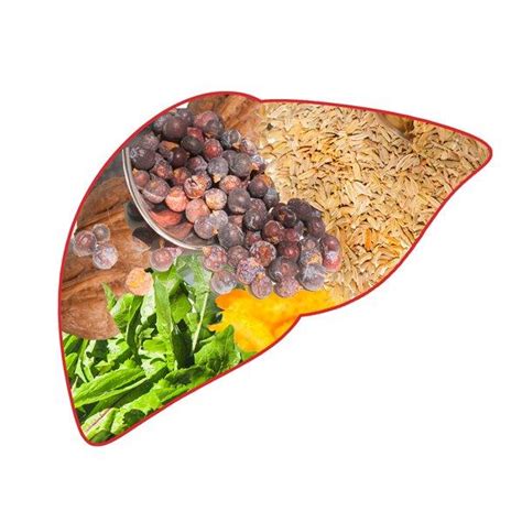 A Total Internal Body Cleanse Is The Ultimate Health Cleanse