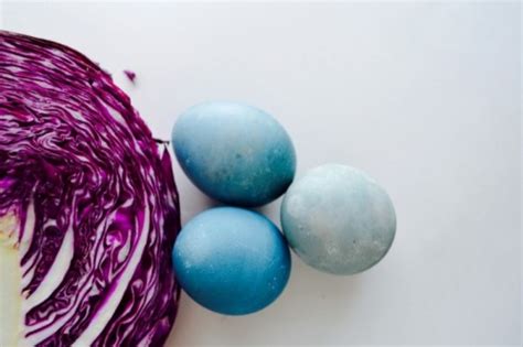 How To Dye Easter Eggs Using Cabbage Shelterness