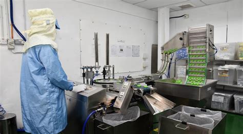 automated cap assembly machine automated cap assembly machine selangor