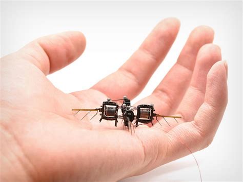 Insect Size Drones Drones Deliver Sterile Insects To Tackle Disease In
