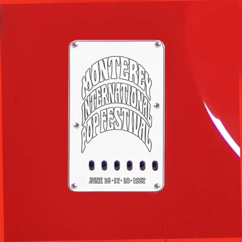 Custom Printed Stratocaster Backplates