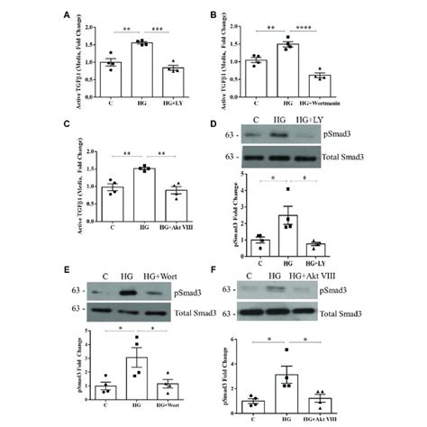 Hg Induced Tgfβ1 Activation And Signaling Are Blocked By Pi3kakt