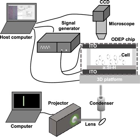 Figure 1 From Automated Parallel Electrical Characterization Of Cells Using Optically Induced