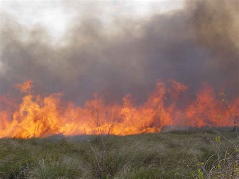 El 90 De Los Incendios Forestales En Eeuu Son Provocados