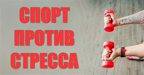 СПОРТ ПРОТИВ СТРЕССА — Teletype