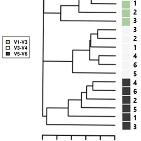 Hierarchical Dendrogram Displaying Bray Curtis Distances From Samples