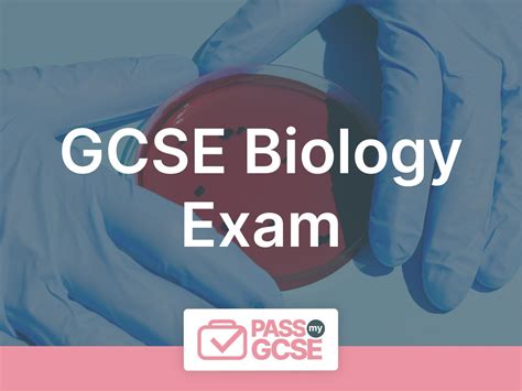 book gcse exam gcse private candidate pass gcse