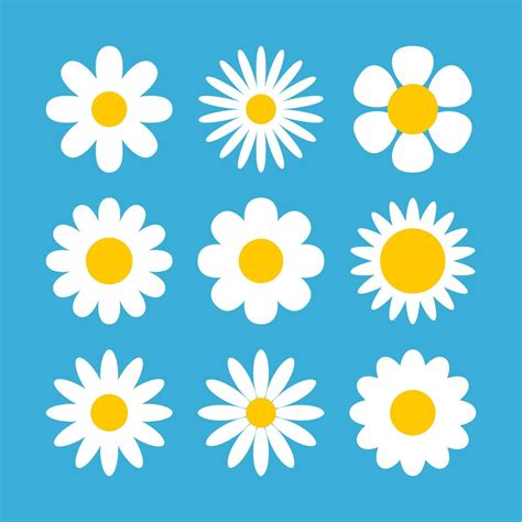 Icono De Ilustración De Forma De Flor De Vector De Manzanilla De