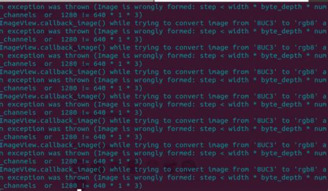 D I Align Depth Colorizer Issue Intelrealsense Realsense Ros Github