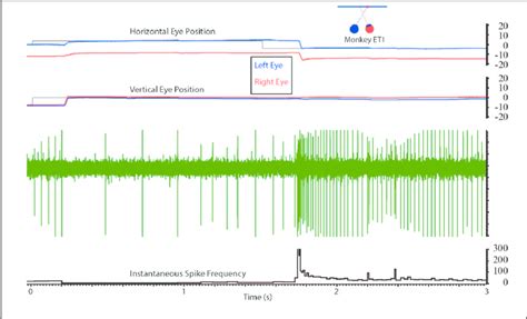 Three Seconds Of Raw Data From An Example Abducens Neuron Recorded