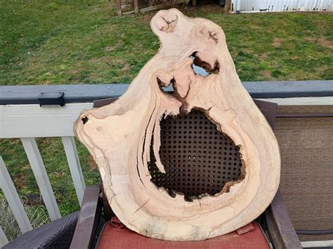 1 3 8by 26 75 Spalted Sycamore Tree Slice Hole Mirror Project Wood