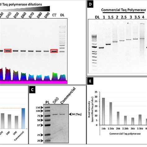Pdf A Simple And Efficient Method For Taq Dna Polymerase Purification