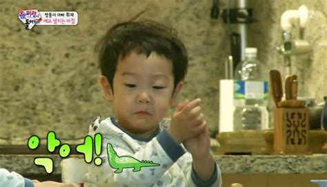 슈퍼맨이 돌아왔다 쌍둥이 서준이의 애창곡은 악어떼 연예 기사 더팩트