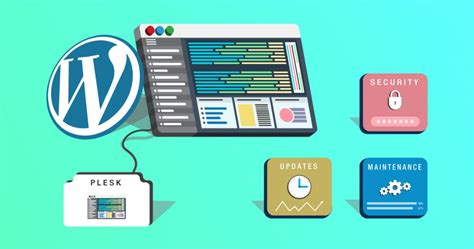 the plesk wordpress toolkit wordpress security auto updates and