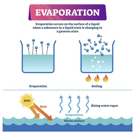Evaporation Teas Nursehub